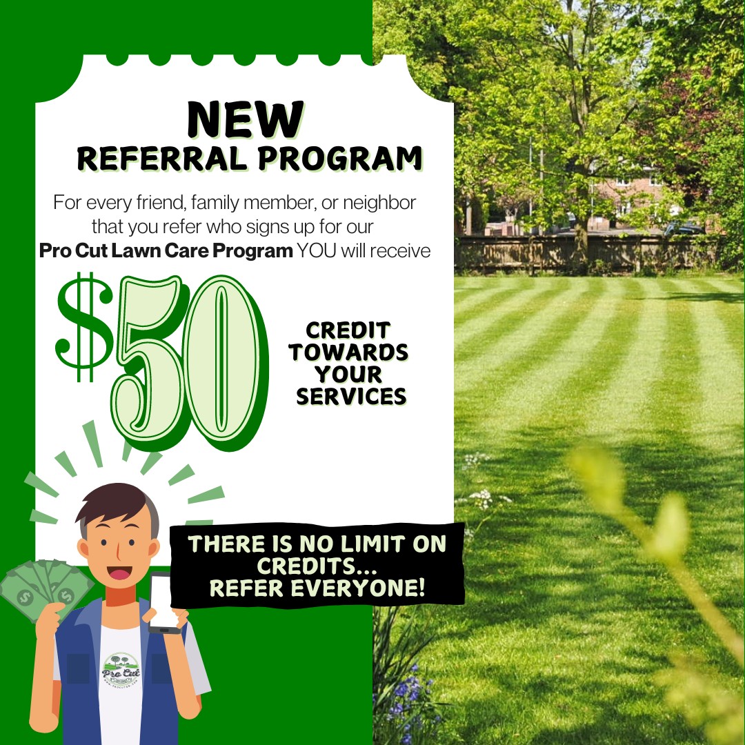 Customer Assistant - Login